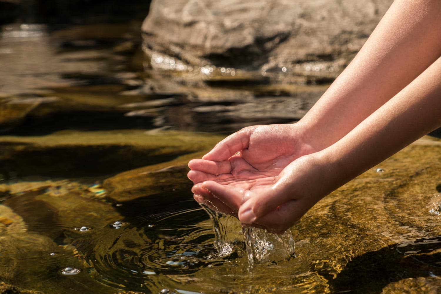 Hygiene and Sanitation on Rafting Trips - Echo Canyon Rafting